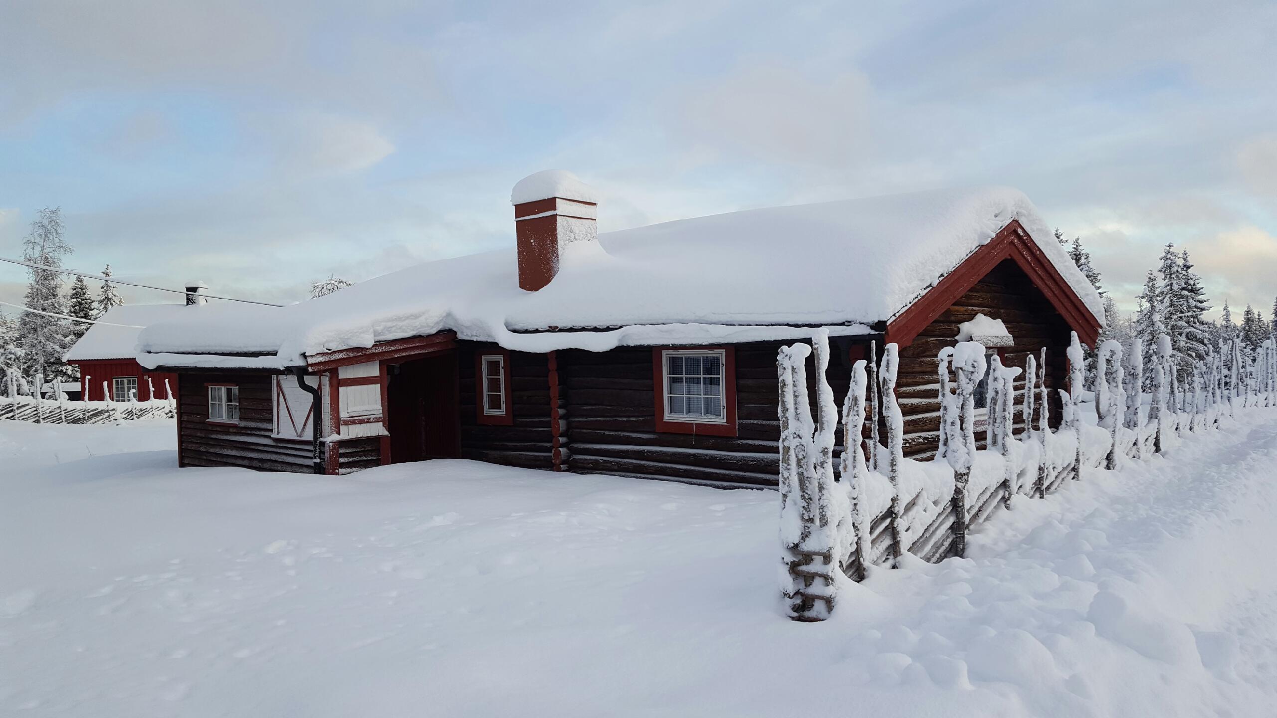 Vinter i Østerdalen – Document