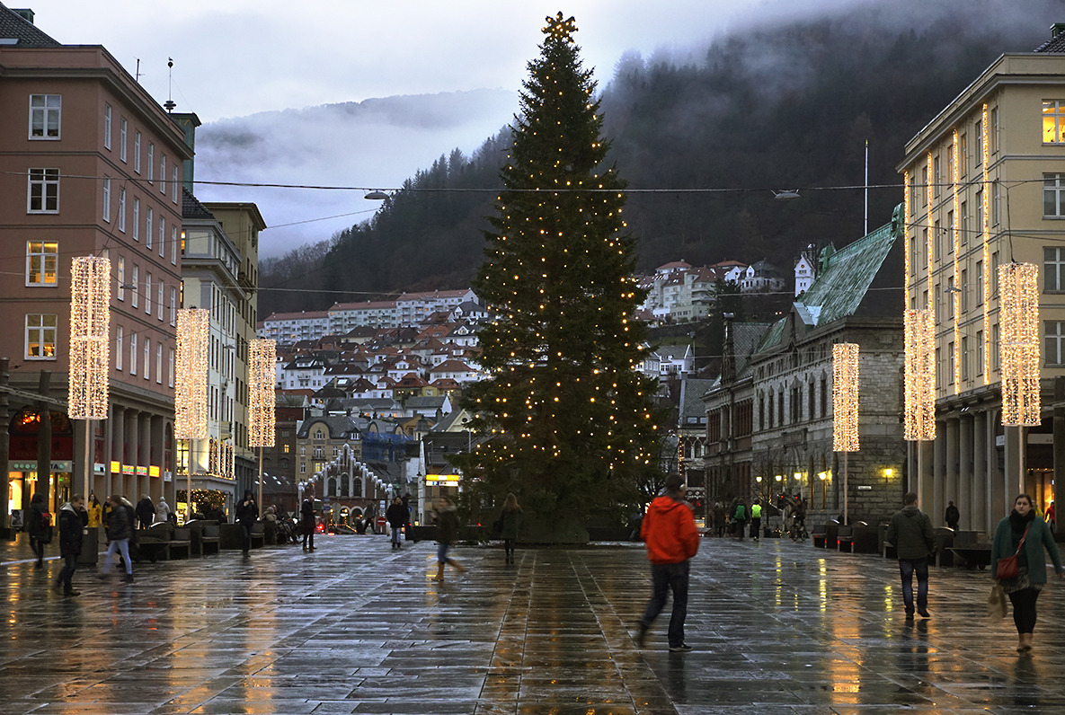 Bergen i november – Document