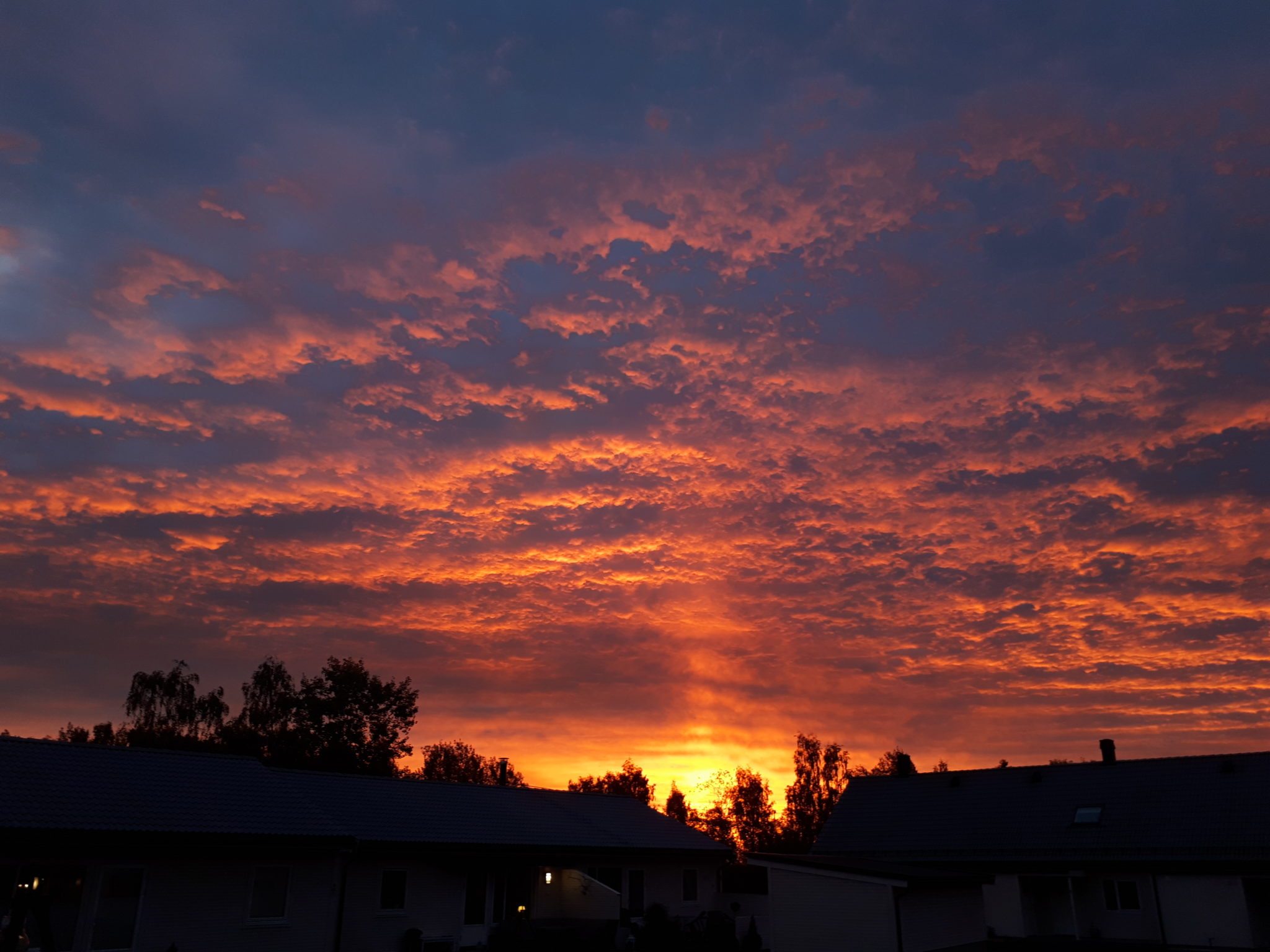 Soloppgang – Document