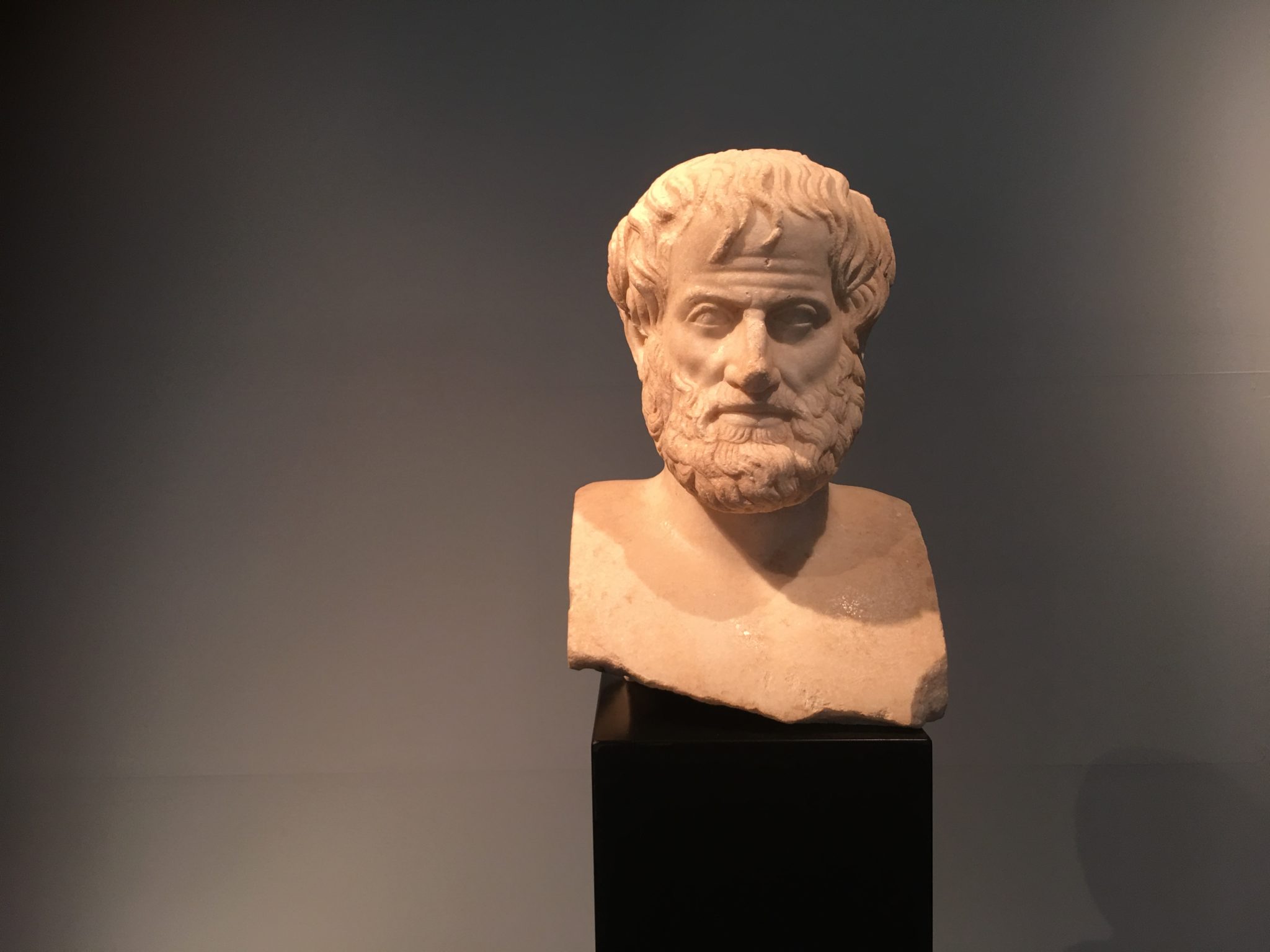 Dygd og dugleik – Document