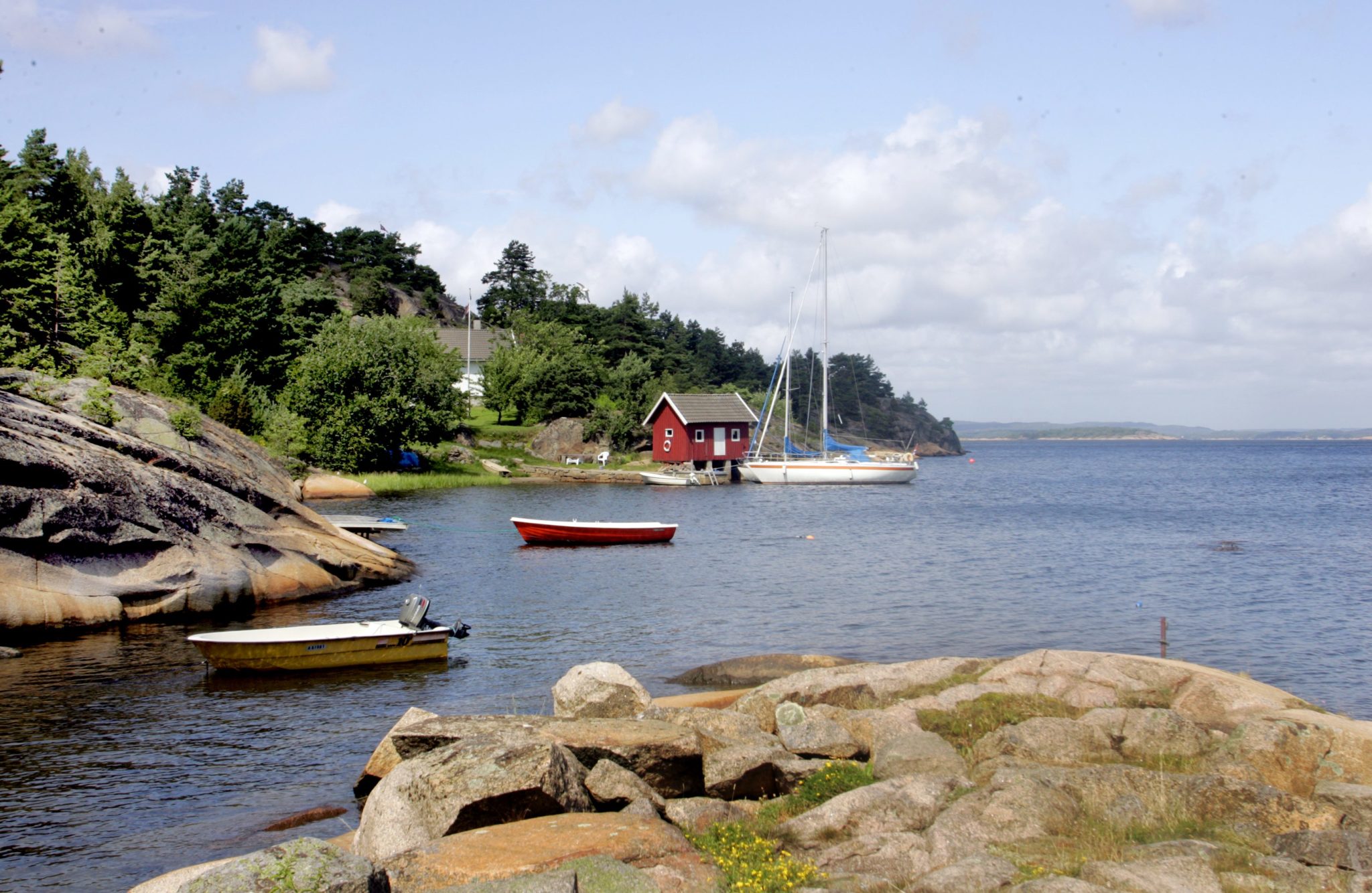 De nye kongene på haugen – Document