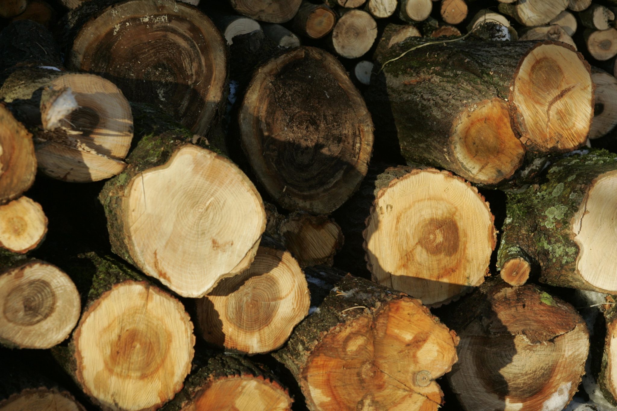 Nordmenn trosser EU: Halvparten vil fyre mer med ved enn før – Document