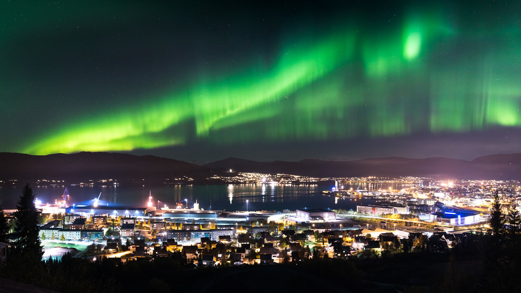 Freyr blør penger, men det plager ingen når staten er garantist – Document