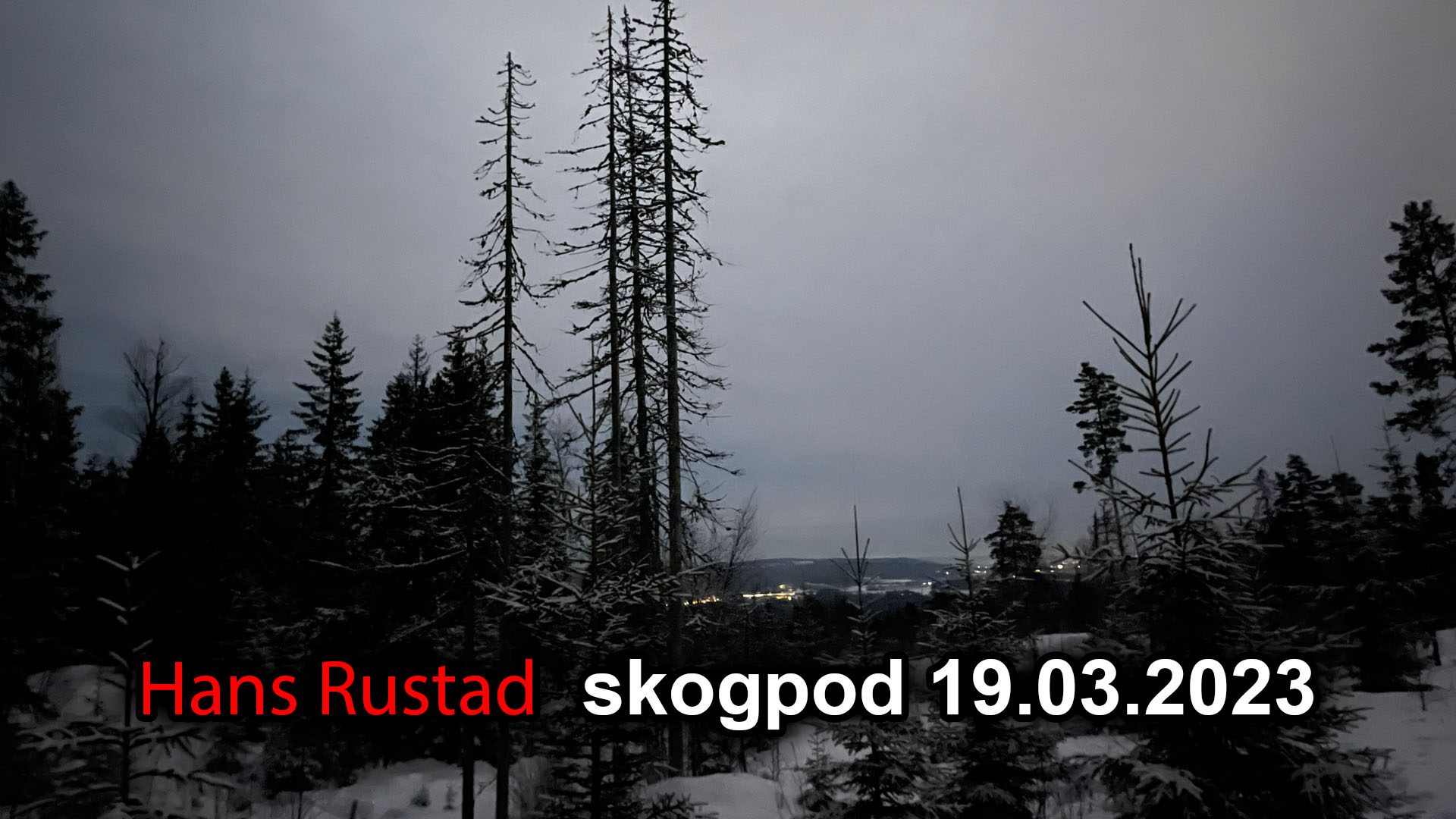 Skogpod 19. mars 2023