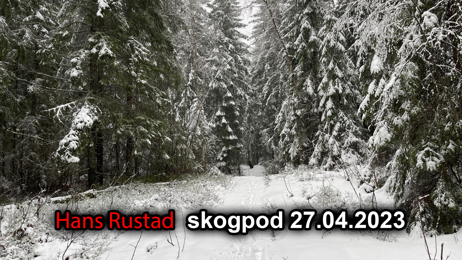 Skogpod 27. april 2023