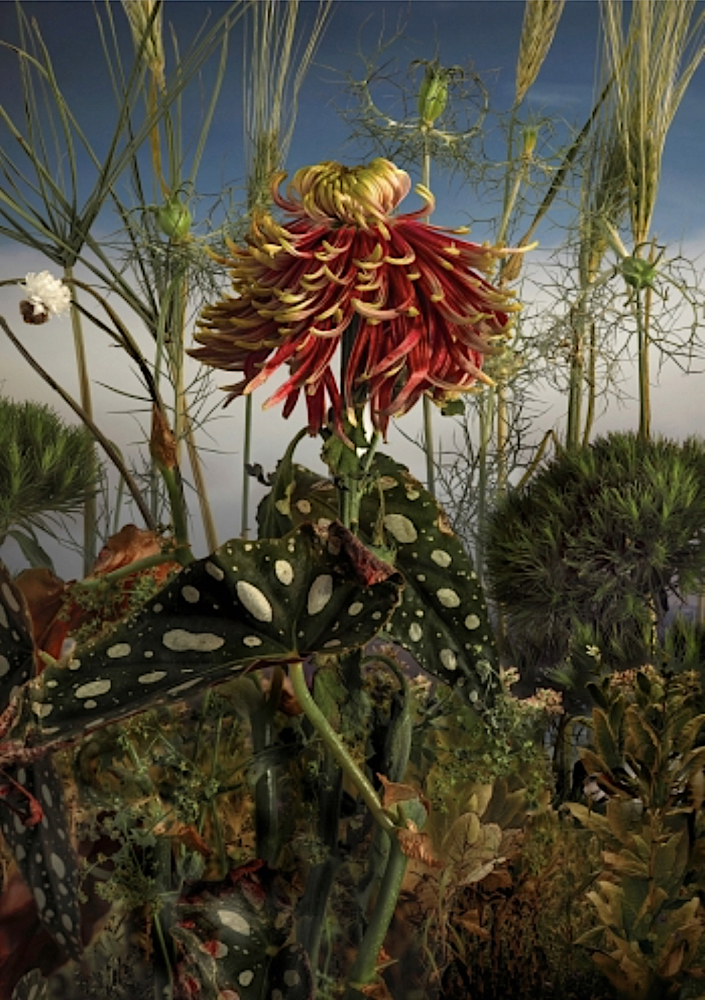 Digitalisert død i skjønnhet