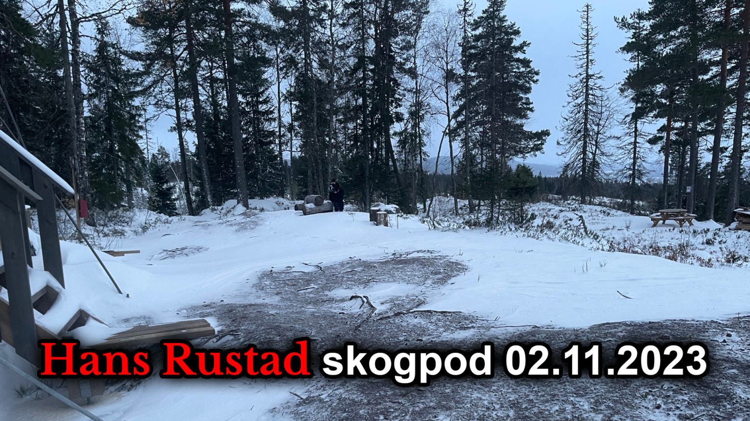 Skogpod 2. november 2023