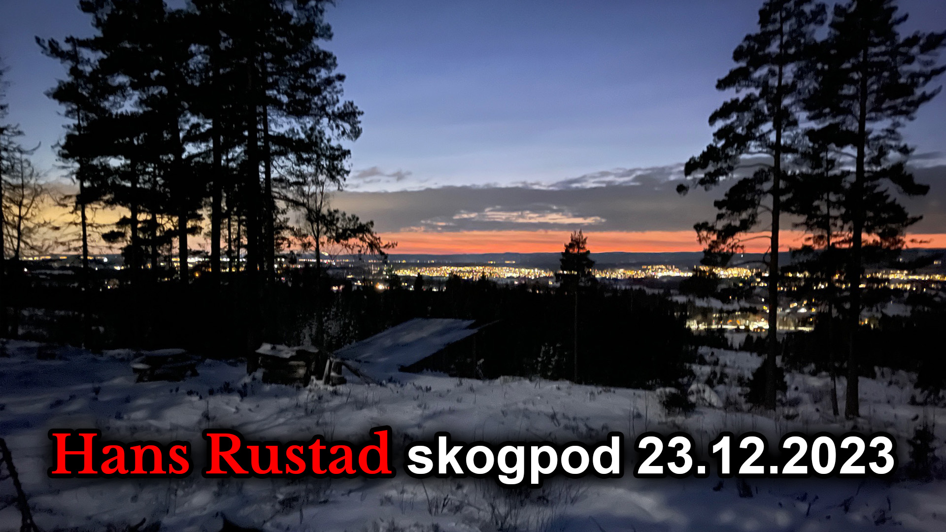 Skogpod 23. desember 2023 – Document