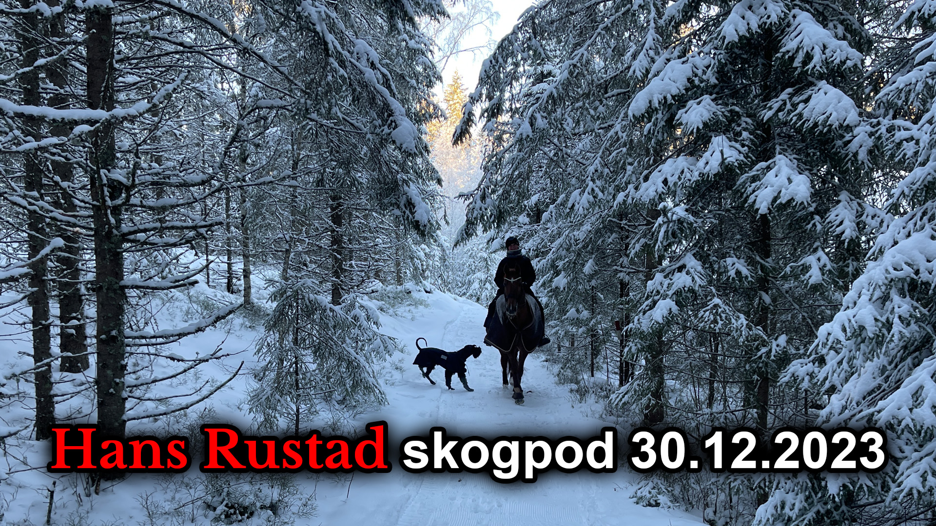 Skogpod 30. desember 2023