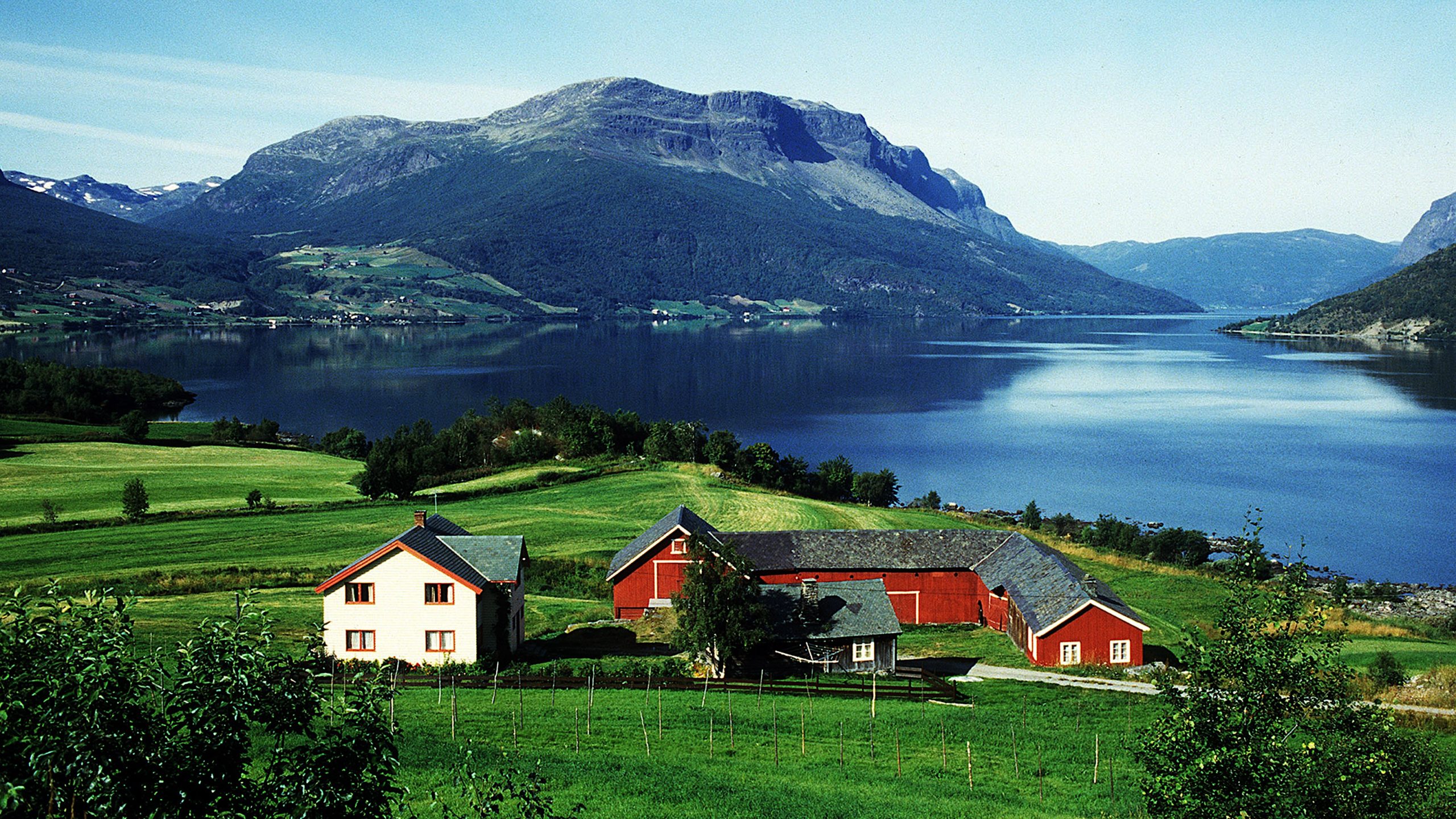 Hvordan stoppe bondedøden? – Document