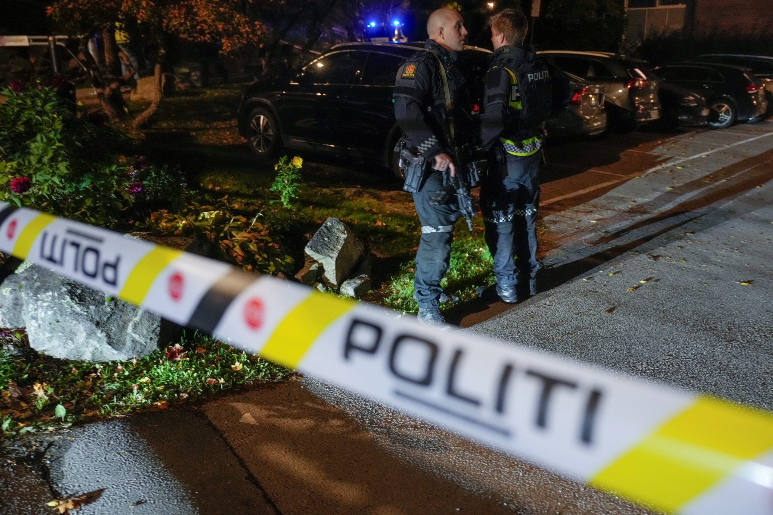 Mann skutt på Holmlia i Oslo – Document