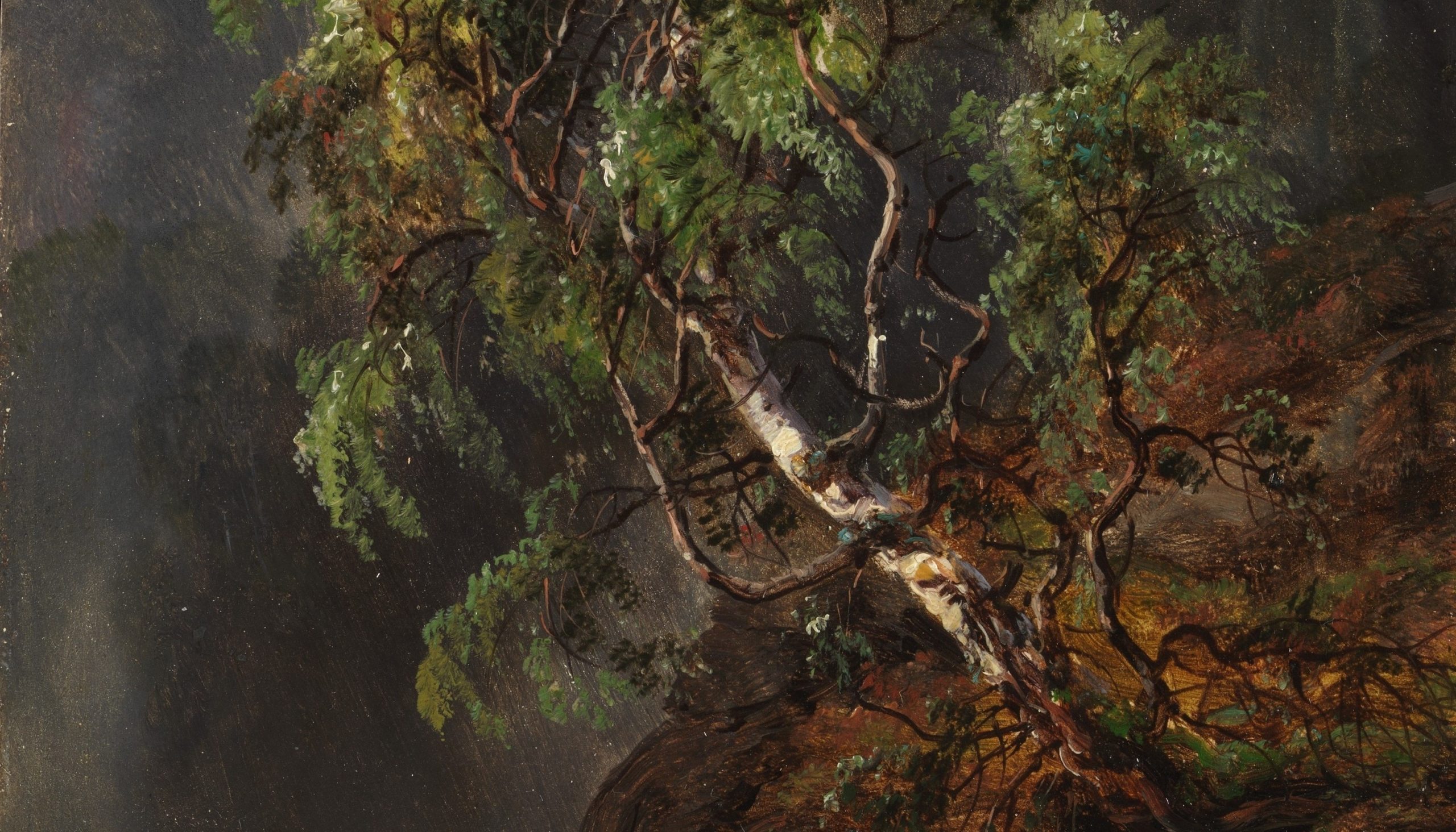 Birk i Storm (1849). – Document