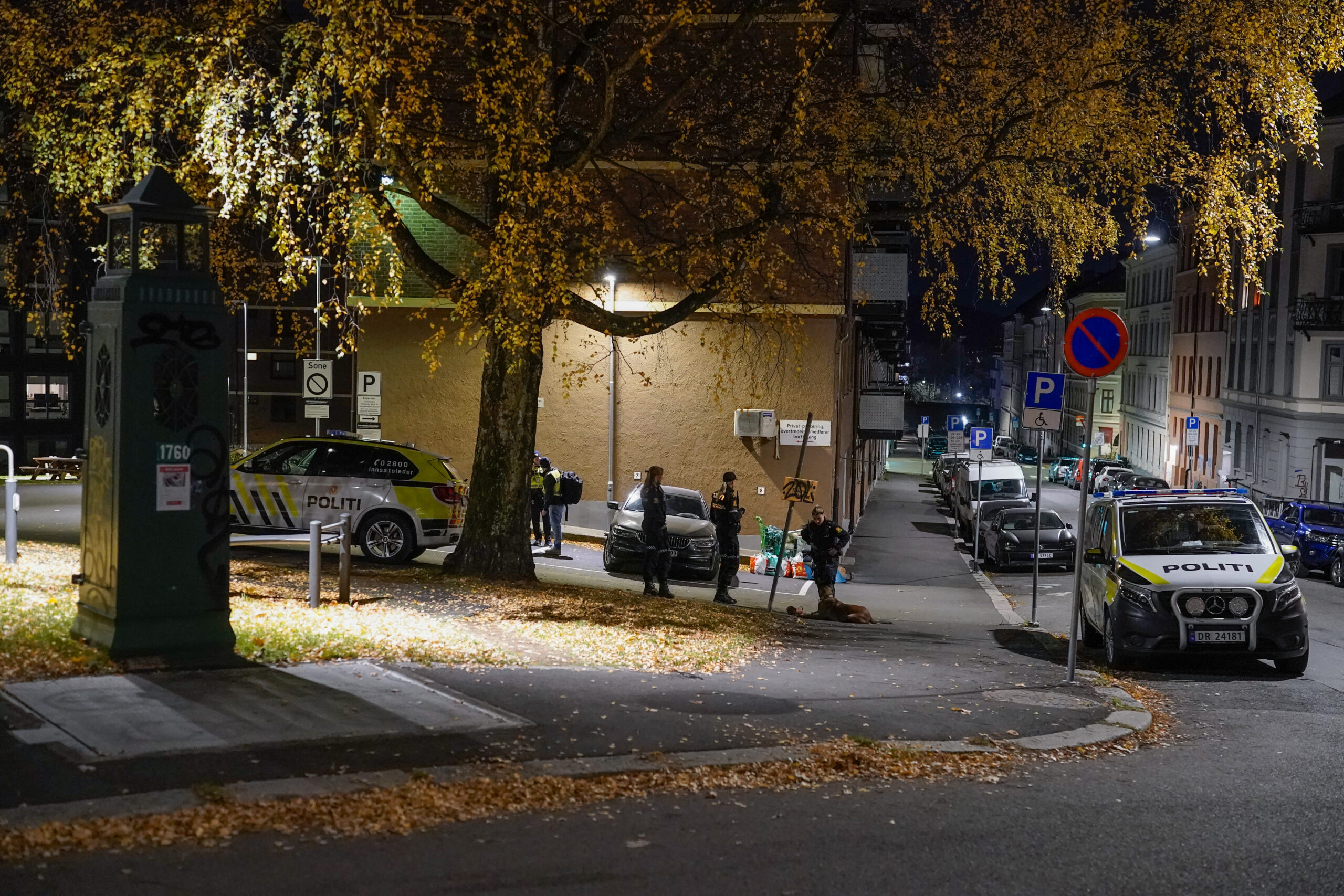 Mann pågrepet etter voldshendelse i Oslo – kvinne kritisk skadet – Document