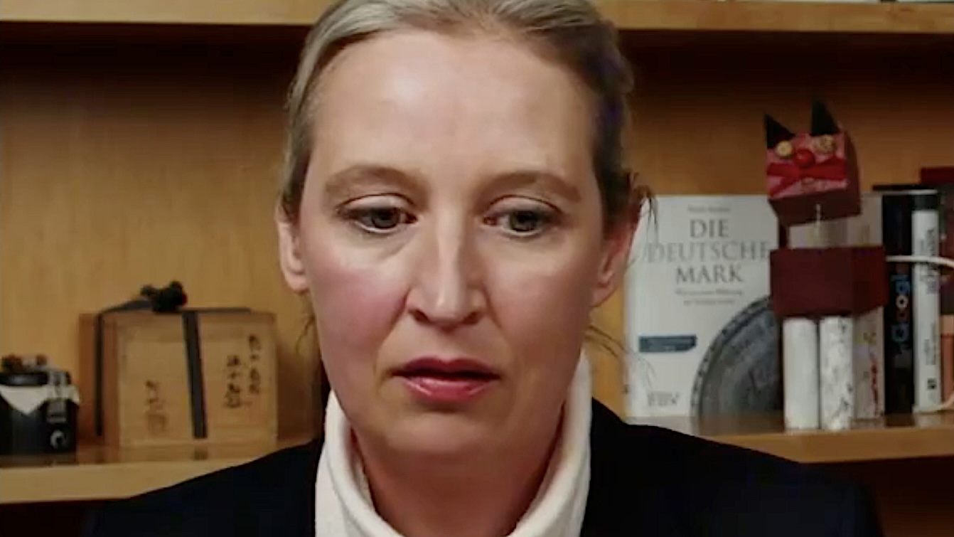 AfD seiler i medvind før valget i Tyskland – Document